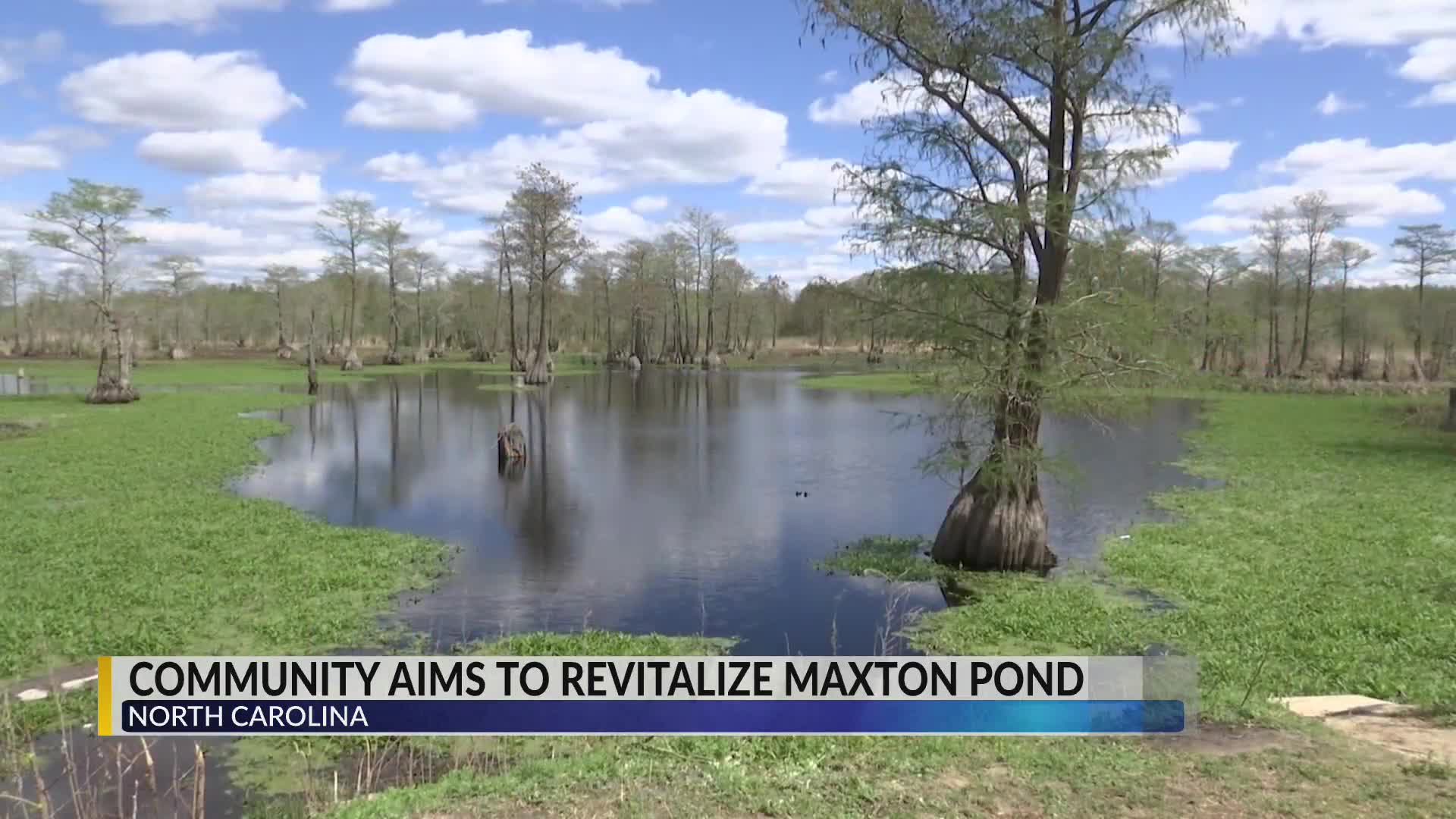 Lumbee Tribal Council eyes updates to historic Maxton Pond – WBTW